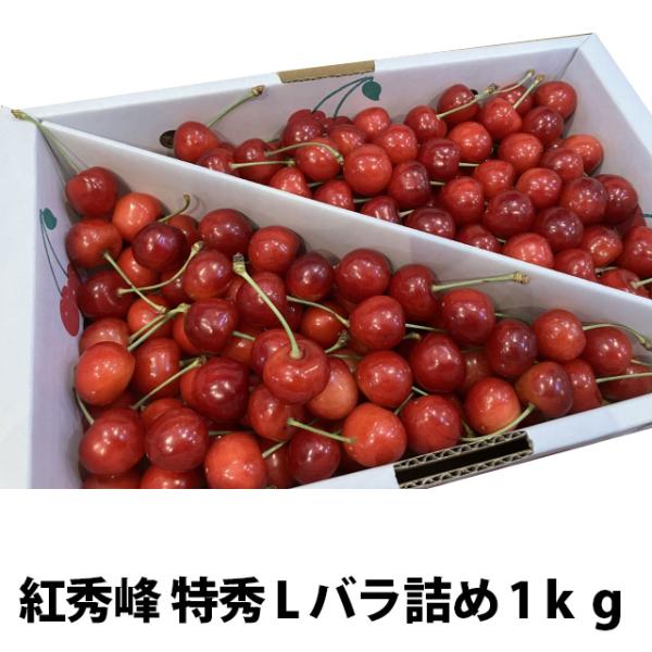 【発売日：2026年06月10日】さくらんぼ 佐藤錦 紅秀峰 山形産 贈答用 ギフト