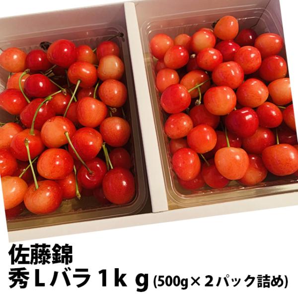 【発売日：2026年06月10日】さくらんぼ 2025年 佐藤錦 秀 L バラパック詰め 1ｋｇ 佐藤錦 山形 贈答 ギフト 送料無料 手詰め 並べ詰め プレゼント チェリー お中元 サクランボ 時期 さくらんぼ佐藤錦 予約 1kg さくら...