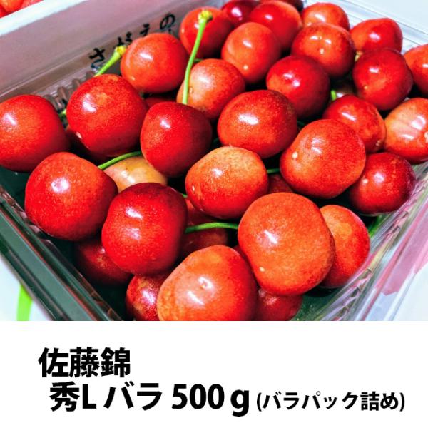 【発売日：2026年06月10日】さくらんぼ 2025年 佐藤錦 秀 L バラパック詰め 500ｇ 佐藤錦 山形 贈答 ギフト 送料無料 手詰め 並べ詰め プレゼント チェリー お中元 サクランボ 時期 さくらんぼ佐藤錦 予約 1kg さく...