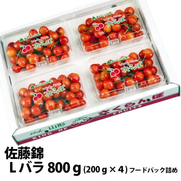 【発売日：2026年06月10日】さくらんぼ 2025年 佐藤錦 秀 L フードパック詰め 800ｇ 佐藤錦 山形 贈答 ギフト 送料無料 手詰め 並べ詰め プレゼント チェリー お中元 サクランボ 時期 さくらんぼ佐藤錦 予約 1kg さ...