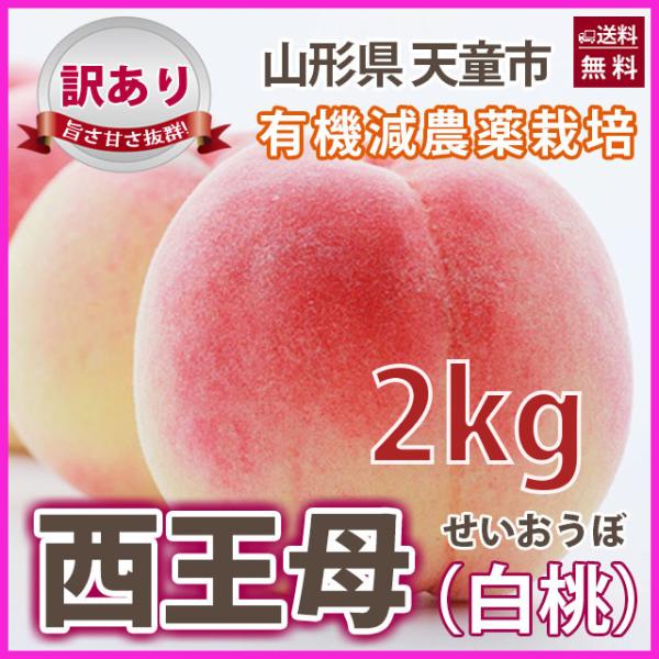 【発売日：2027年09月01日】送料無料 訳あり  山形の桃 西王母 せいおうぼ 白桃 2kg 6個〜7個 9月下旬〜10月上旬