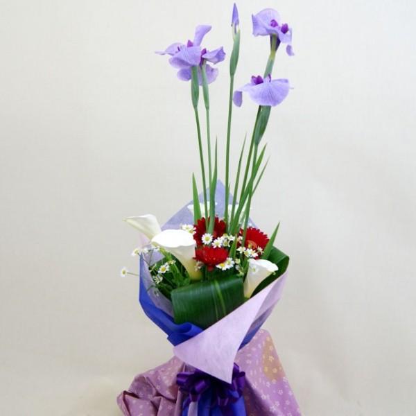 こどもの日 端午の節句 ショウブ ショーブ 菖蒲
