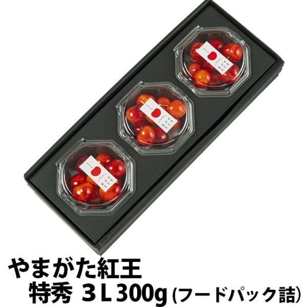 【発売日：2026年06月10日】さくらんぼ 佐藤錦 紅秀峰 山形産 贈答用 ギフト