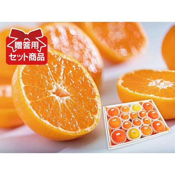 のま果樹園直営のフルーツ専門店・フルーツギフト＆ジュースバー「noma-noma」の店長が厳選した「愛媛の柑橘＆柑橘加工品」を詰め合わせました。旬の柑橘の中から金額に合わて誠心誠意「果物のプロの目」で目利きした商品ですので、自信をもってお届...