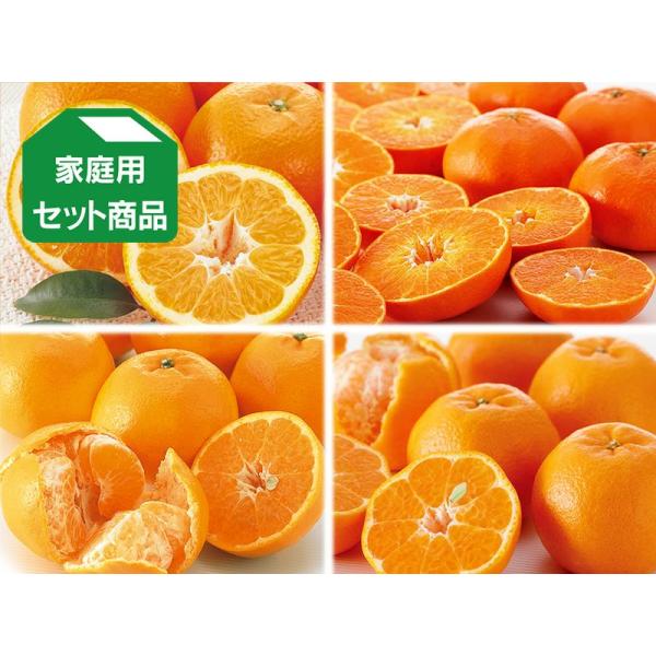 【発売日：2026年02月06日】■商品名:2月の柑橘4種味比べ「プチ」セット■内容量：4種合計2kg、甘平約500g、宮内いよかん約500g、はるみ約500g、ポンカン約500g■品格:家庭用：(バラ詰めだからお得にお届け。ご自宅や親しい...