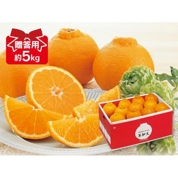 【発売日：2026年03月03日】コクのある濃厚な甘さ！お待たせしました！ポコリと飛び出たかわいいオデコが特徴の「デコタンゴール」の登場です！毎年楽しみに待っている人も多い「デコタンゴール」の美味しさの秘密は、甘さだけではない、まろやかな酸...