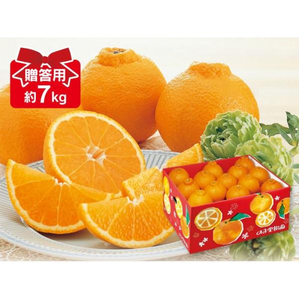 【発売日：2026年03月03日】コクのある濃厚な甘さ！お待たせしました！ポコリと飛び出たかわいいオデコが特徴の「デコタンゴール」の登場です！毎年楽しみに待っている人も多い「デコタンゴール」の美味しさの秘密は、甘さだけではない、まろやかな酸...