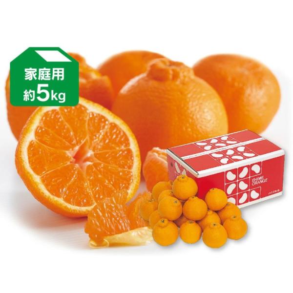 【発売日：2026年03月03日】コクのある濃厚な甘さ！お待たせしました！ポコリと飛び出たかわいいオデコが特徴の「デコタンゴール」の登場です！毎年楽しみに待っている人も多い「デコタンゴール」の美味しさの秘密は、甘さだけではない、まろやかな酸...