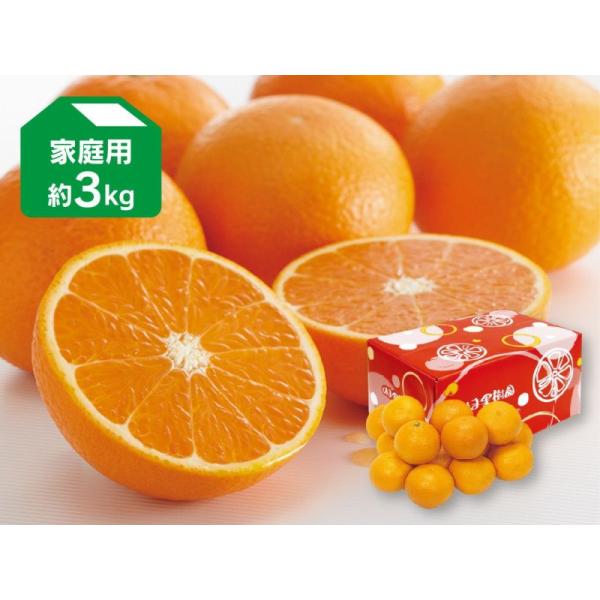 4月〜6月にかけて、１番人気の柑橘「清見タンゴール」！ほっぺたが落ちそうな「果肉のぷるぷる感」に加えて、「滴り落ちるほどのたっぷり果汁」、そして、「オレンジの香り」がたまらない！まさにみかんとオレンジのいいとこどりで、酸味が少なくて風味も良...