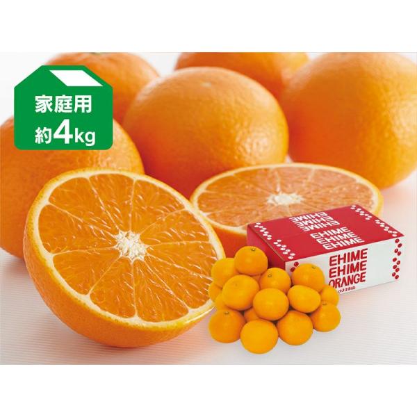 4月〜6月にかけて、１番人気の柑橘「清見タンゴール」！ほっぺたが落ちそうな「果肉のぷるぷる感」に加えて、「滴り落ちるほどのたっぷり果汁」、そして、「オレンジの香り」がたまらない！まさにみかんとオレンジのいいとこどりで、酸味が少なくて風味も良...