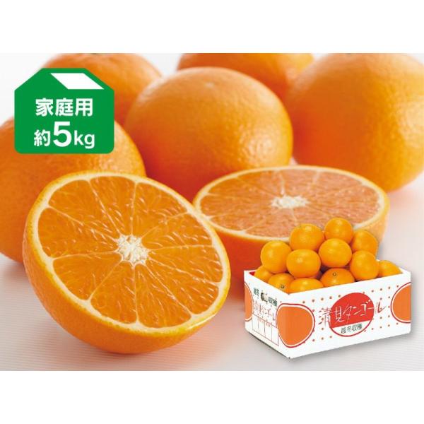 4月〜6月にかけて、１番人気の柑橘「清見タンゴール」！ほっぺたが落ちそうな「果肉のぷるぷる感」に加えて、「滴り落ちるほどのたっぷり果汁」、そして、「オレンジの香り」がたまらない！まさにみかんとオレンジのいいとこどりで、酸味が少なくて風味も良...