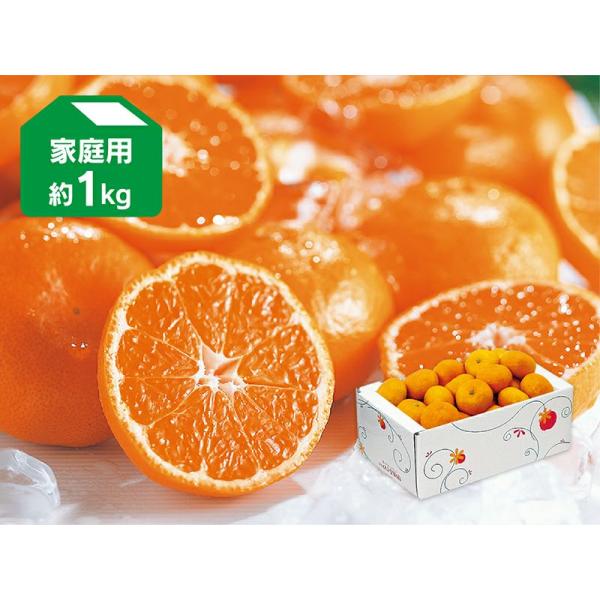 本来、柑橘類は夏には生育しません。しかし、「夏にも最高のみかんを届けたい」という生産者の情熱から生まれたのがハウスみかんです。「冬のみかんと同じじゃないの？」とよく聞かれますが、品種は同じでも味わいはまったく別物。手間ひまをかけて育てられた...