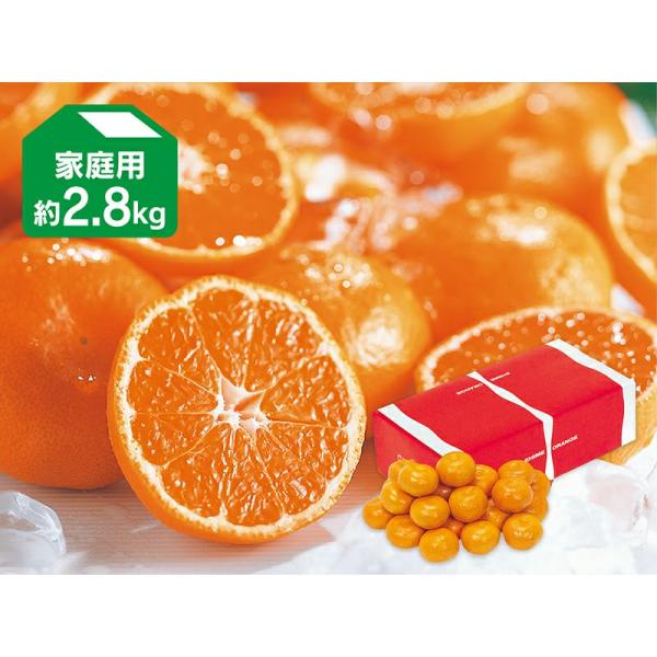 本来、柑橘類は夏には生育しません。しかし、「夏にも最高のみかんを届けたい」という生産者の情熱から生まれたのがハウスみかんです。「冬のみかんと同じじゃないの？」とよく聞かれますが、品種は同じでも味わいはまったく別物。手間ひまをかけて育てられた...