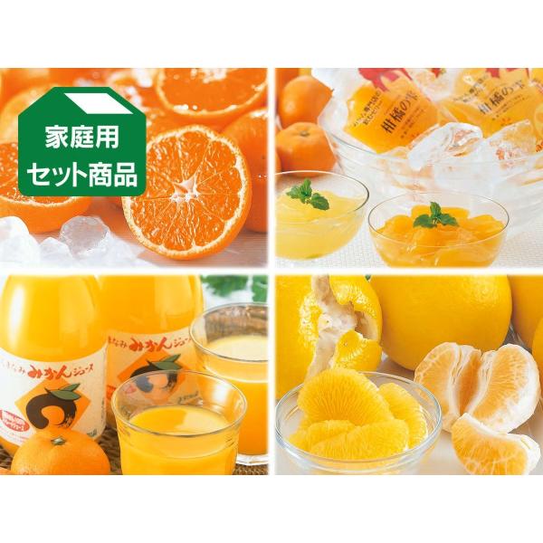 ■商品名:7月の4種お試し「プチ」セット■内容量：ハウスみかん約500g、飲むゼリー2個(みかん・いよかん各1個)、みかんジュース500ml×1本、木成り河内晩柑約500g、■品格:家庭用(バラ詰めだからお徳にお届け。ご自宅や親しい方への贈...