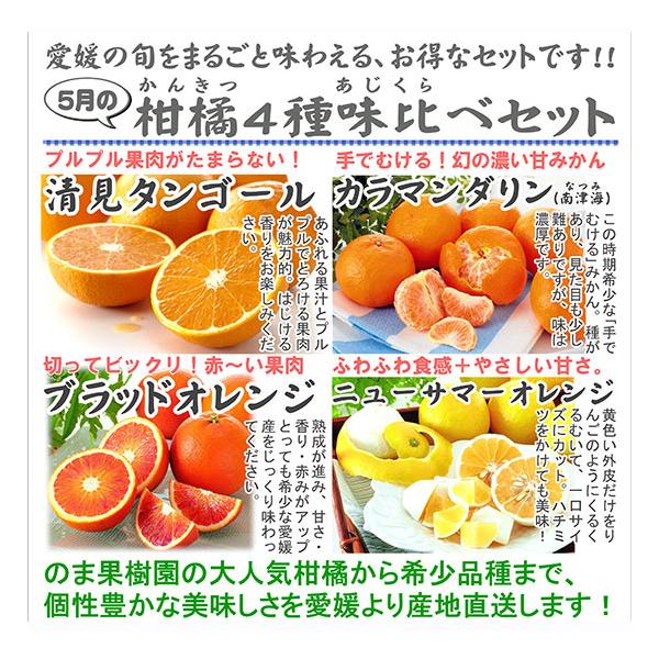 ■商品名:5月の柑橘4種味比べ「プチ」セット■内容量：4種合計2kg、清見タンゴール約500g、カラマンダリン約500g、ブラッドオレンジ約500g、ニューサマーオレンジ約500g、■品格:家庭用(バラ詰めだからお徳にお届け。ご自宅や親しい...