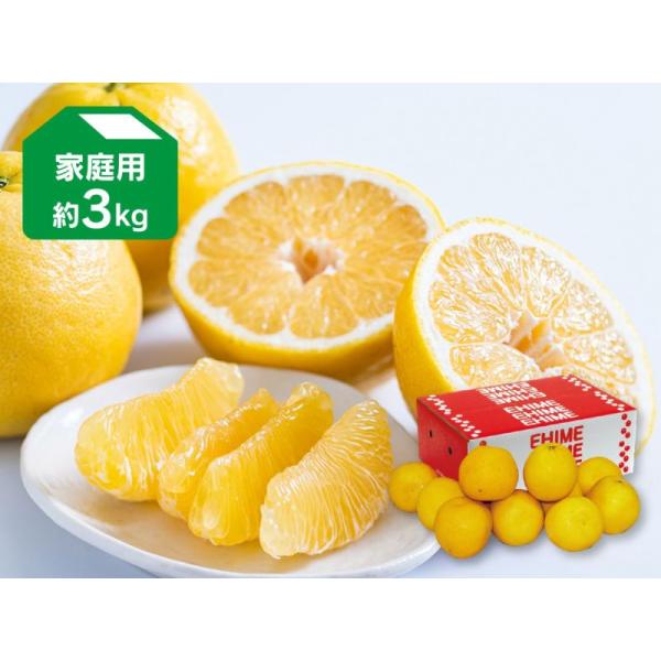 ■グレープフルーツ風味の美味しさが溢れる「河内晩柑（ジューシーオレンジ）」。爽快な香り漂うたっぷりの果汁が「ジューシーオレンジ」と呼ばれる所以です。外側は、黄色くて酸っぱそうなイメージをもたれるかもしれませんが、プルプルの果肉は酸味が少なく...