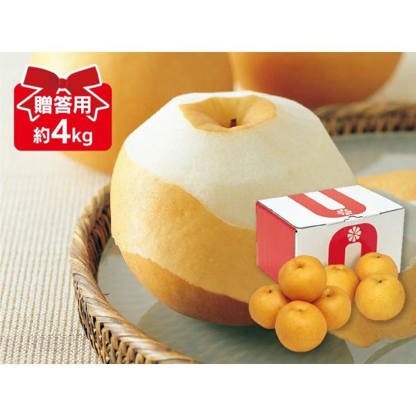 香り豊かで糖度が高く、大玉の新高梨（にいたかなし）はシャリシャリの歯ざわりに、たっぷりの甘さとジューシーな果汁で、今の時期、特に人気の梨です。芳醇な味わい、上品な香り、そしてその大きさ、どれをとっても一級品のまさしく「梨の王様」といえるかも...