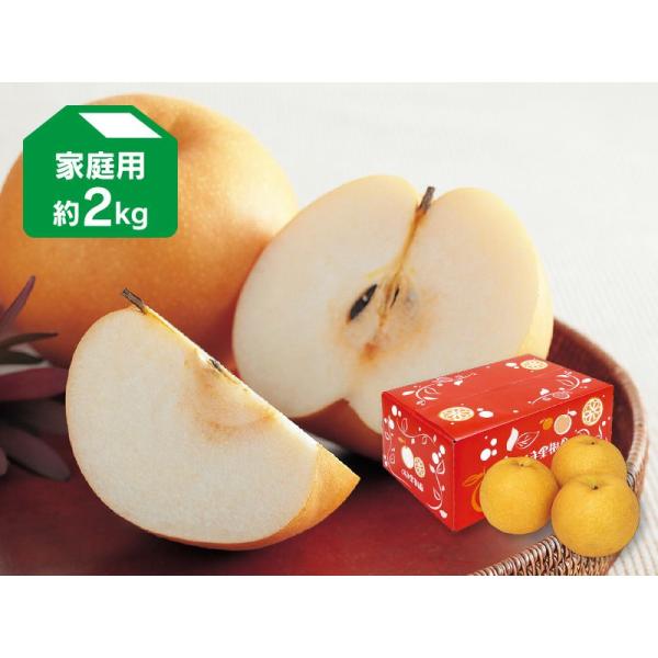 香り豊かで糖度が高く、大玉の新高梨（にいたかなし）はシャリシャリの歯ざわりに、たっぷりの甘さとジューシーな果汁で、今の時期、特に人気の梨です。芳醇な味わい、上品な香り、そしてその大きさ、どれをとっても一級品のまさしく「梨の王様」といえるかも...