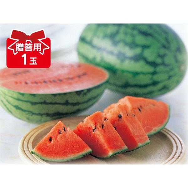 ■冷やして美味しい初夏のすいか！夏の風物詩「すいか」ですが、一足早く5月〜6月に食べられるすいかをご存知ですか？夏を先取りする人気者の名は「うり坊すいか」！すいかの中でも糖度が高く、皮も薄いので皮のギリギリのところまで味わえるのが特徴です！...