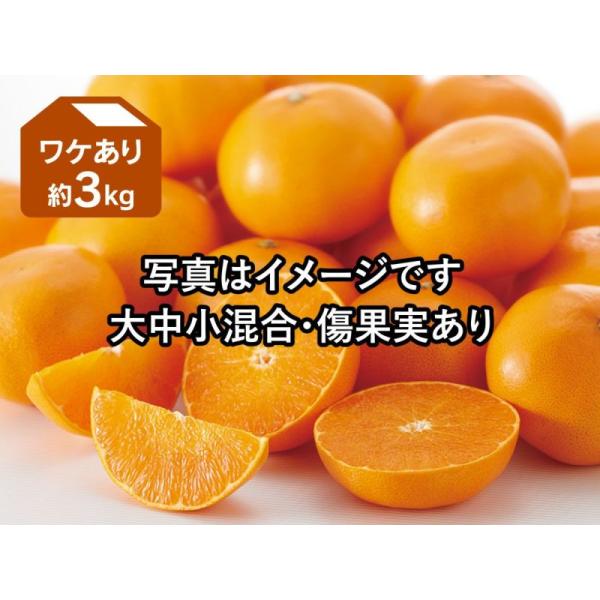 【発売日：2026年03月02日】とろける甘さと滴る果汁が人気の「せとか」登場です。愛媛の「せとか」は、うまみが濃くやわらかな房の中にたっぷりの果汁ととろけるような果肉がギッシリ詰まっています。柑橘類の中でも、最高のコクと甘みを誇る「せとか...