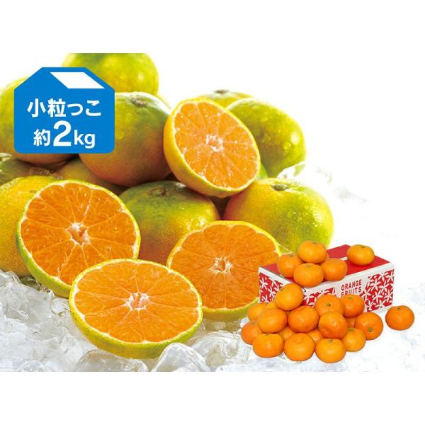 【発売日：2026年10月07日】秋空の下、愛媛ではみかん山が黄色く色づいてきました。今回お届けする「極早生みかん」は、今シーズン最も収穫の早いみかん。みかん好きが待ちに待った、初物です。出荷スタート直後は皮に青みが残っているので、極早生＝...