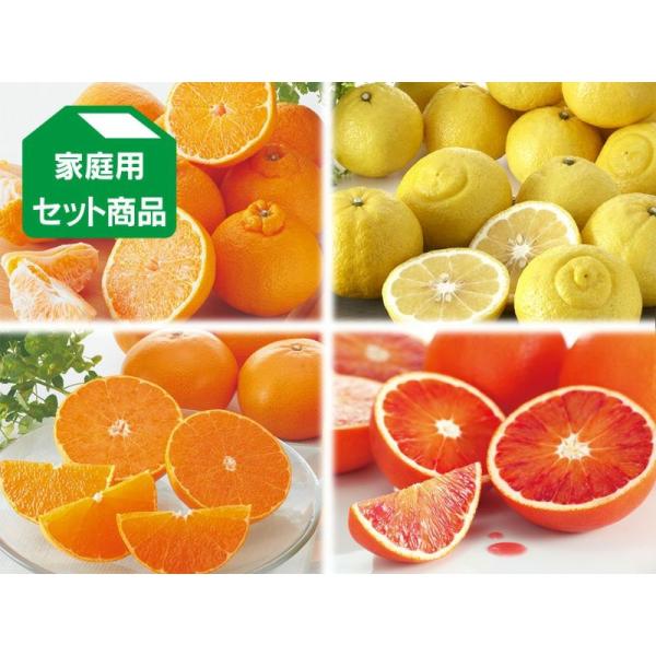 【発売日：2026年03月04日】■商品名:3月の柑橘4種味比べ「満足」セット■内容量：4種合計4kg、デコタンゴール約1kg、はるか約1kg、露地せとか約1kg、ブラッドオレンジ約1kg■品格:家庭用(バラ詰めだからお徳にお届け。ご自宅や...