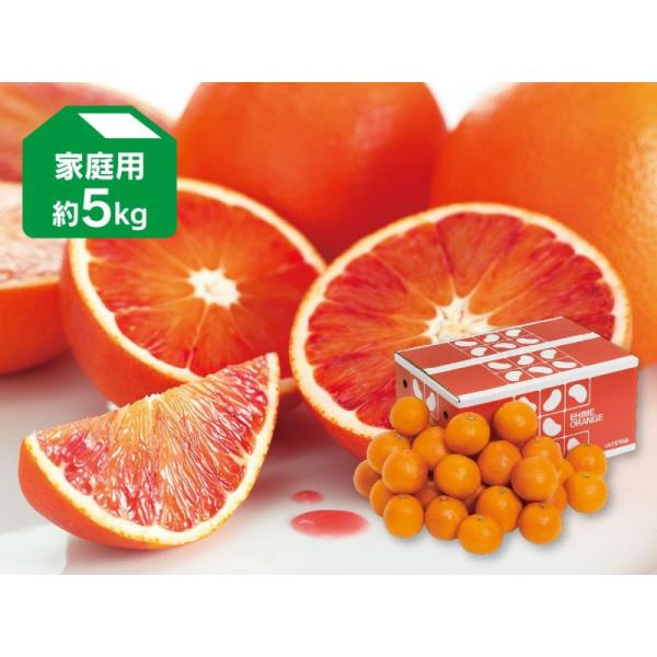 【発売日：2026年03月04日】え、国産品なんてあったの？？とビックリされる愛媛産の「ブラッドオレンジ」。「ブラッドオレンジ」は、イタリア地中海地域原産の柑橘で通常のオレンジと異なり、身が真っ赤なのが特徴です。そんな色合いから、ブラッド（...
