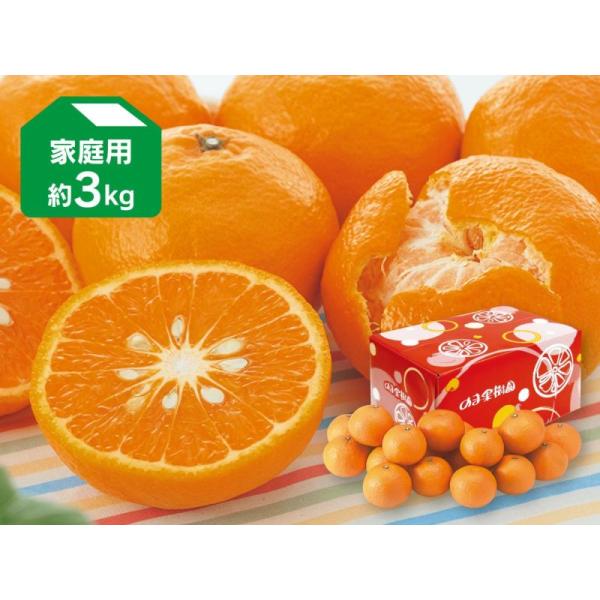 【発売日：2026年05月09日】■カラマンダリンってどんな柑橘？「カラマンダリン」は、カリフォルニア大学のフロスト博士が、1915年（大正4年）に尾張系温州にキングマンダリンを交配し、育成した品種であり、1935年に命名、発表されました。...