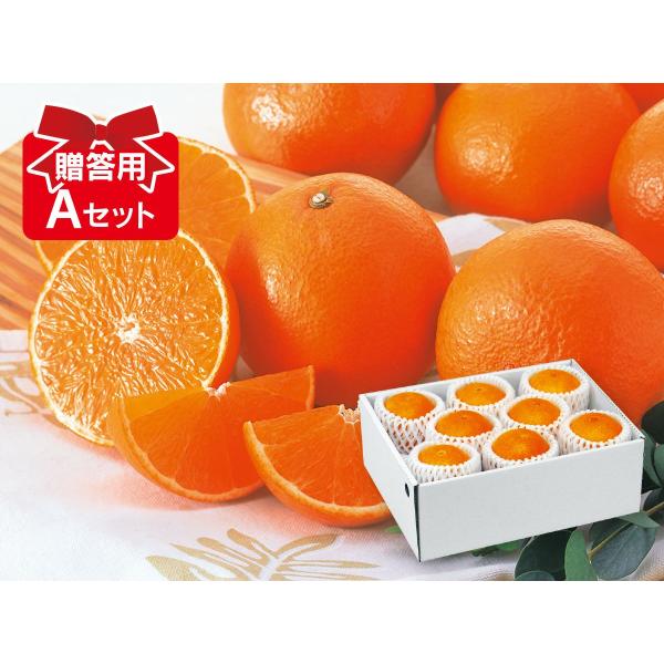 【発売日：2025年12月02日】「媛（ひめ）まどんな」は「南香（なんこう）」と「天草（あまくさ）」という品種の柑橘の掛け合わせで生まれた品種で正式名称は「愛媛果試第２８号」。（「媛まどんな」はのま果樹園の登録商標、「紅(べに)まどんな」は...