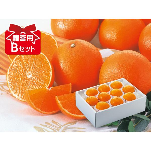 【発売日：2025年12月02日】「媛（ひめ）まどんな」は「南香（なんこう）」と「天草（あまくさ）」という品種の柑橘の掛け合わせで生まれた品種で正式名称は「愛媛果試第２８号」。（「媛まどんな」はのま果樹園の登録商標、「紅(べに)まどんな」は...