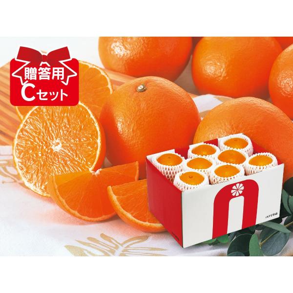 【発売日：2025年12月02日】「媛（ひめ）まどんな」は「南香（なんこう）」と「天草（あまくさ）」という品種の柑橘の掛け合わせで生まれた品種で正式名称は「愛媛果試第２８号」。（「媛まどんな」はのま果樹園の登録商標、「紅(べに)まどんな」は...