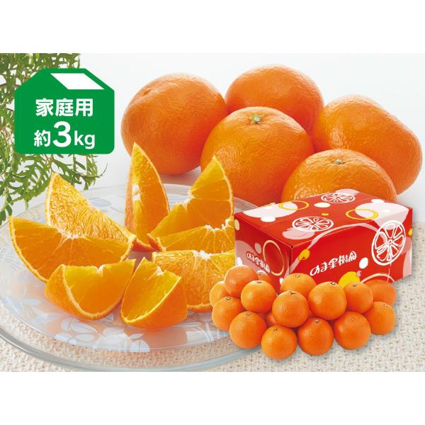 【発売日：2025年12月08日】「媛（ひめ）まどんな」は「南香（なんこう）」と「天草（あまくさ）」という品種の柑橘の掛け合わせで生まれた品種で正式名称は「愛媛果試第２８号」。（「媛まどんな」はのま果樹園の登録商標、「紅(べに)まどんな」は...