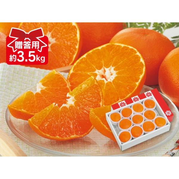 【発売日：2026年01月25日】甘平（かんぺい）は愛媛県の果樹試験場で誕生し、2007年に品種登録された、まだ新しい品種です。「ポンカン」に「西の香」を交配して生まれました。品種登録されたばかりとは言っても、初めに交配されたのは1991年...