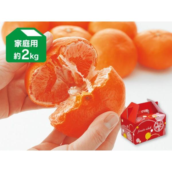 【発売日：2026年01月25日】甘平（かんぺい）は愛媛県の果樹試験場で誕生し、2007年に品種登録された、まだ新しい品種です。「ポンカン」に「西の香」を交配して生まれました。品種登録されたばかりとは言っても、初めに交配されたのは1991年...