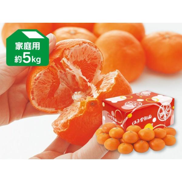 【発売日：2026年01月25日】甘平（かんぺい）は愛媛県の果樹試験場で誕生し、2007年に品種登録された、まだ新しい品種です。「ポンカン」に「西の香」を交配して生まれました。品種登録されたばかりとは言っても、初めに交配されたのは1991年...