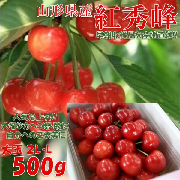【発売日：2026年06月30日】山形県産さくらんぼ、紅秀峰です。現在人気急上昇中で、秀品の２L、Lの大玉のみを500g詰めました。紅秀峰は大玉で甘くとても美味しいです。ご自宅用、贈答用に是非！！◎商品情報◎　　産地　山形県　(寒河江・河北...