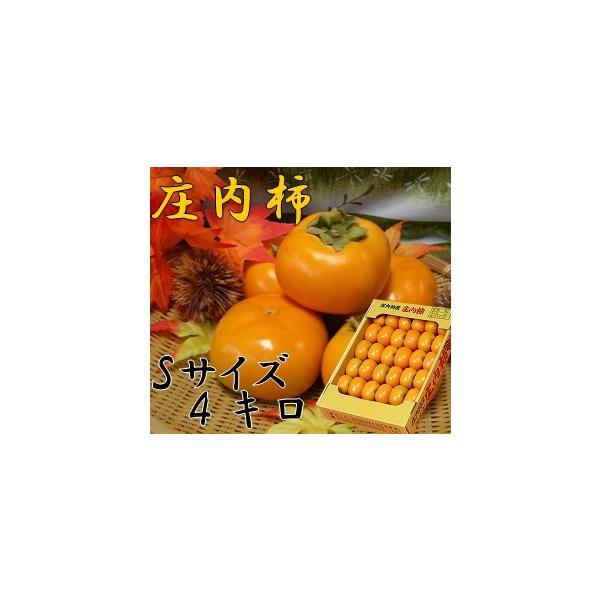 【発売日：2026年11月05日】山形県の秋の風物詩　鶴岡産庄内柿です。小ぶりではありますが、たっぷり28〜30玉入でお得です。中には、傷果が混ざることもありますので、「訳あり」とさせていただきましたが、糖度も高く、熟すとトロトロした上品な...
