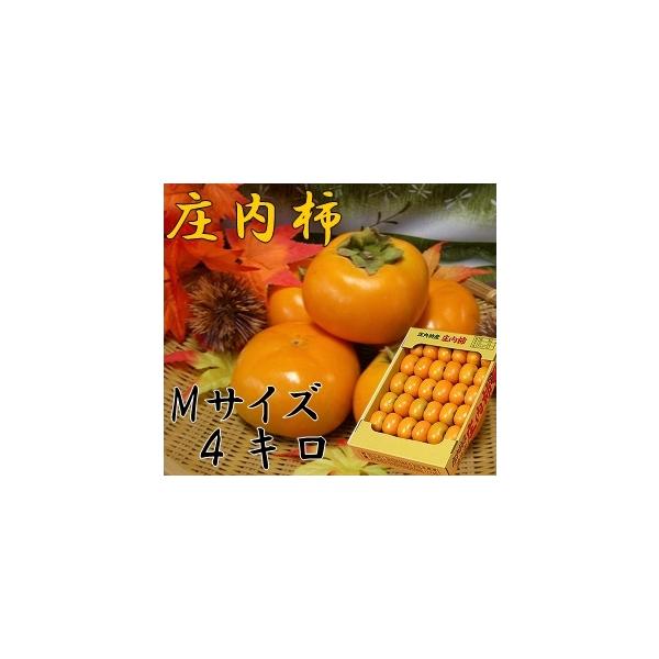 【発売日：2026年11月05日】山形県の秋の風物詩　鶴岡産庄内柿です。平箱にM玉をたっぷり4kg並べました。中には、傷果が混ざることもありますので、「訳あり」とさせていただきましたが、糖度も高く、熟すとトロトロした上品な甘さが嬉しい逸品で...