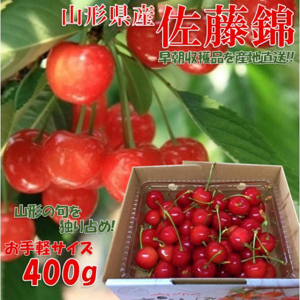【発売日：2026年06月23日】山形県の初夏の風物詩　さくらんぼ、佐藤錦です。たっぷり独り占めできるように、Ｌ玉の秀品のみを400g詰めました。朝もぎたての佐藤錦、お裾分けにいかがでしょうか？ちょっとした贈り物にも最適です！◎商品情報◎　...