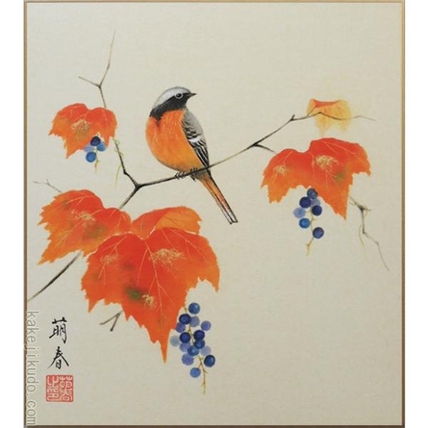 【画　題】高級色紙「山葡萄」萌春（色紙絵）送料無料【解　説】色紙の縦横25cm程のわずかなスペースの中に、四季折々の花や鳥、日本の風情・情緒が、見事に描かれています。春夏秋冬、季節がめぐる度に、お気に入りの色紙をお選びいただき、ご自宅で季節...