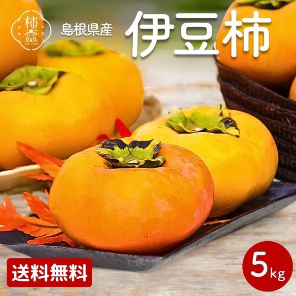 伊豆柿 柿 果物 5kg 高級 予約 島根 ギフト お徳用 送料無料 農家直送 家庭用 名産 かき 贈答 出雲 ひらた 完熟 食べごろ 早生 柿壺（L〜3L）【11月下旬発送】柿専門の農家がお届けする伊豆柿。5kgの柿をお届けします。1年間...