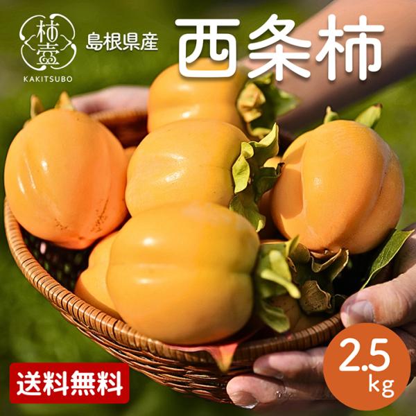 西条柿 柿 2.5kg 農家 直送 平田 果物 渋柿 渋抜き済 高級 予約 合わせ柿 島根 ギフト お徳用 送料無料 家庭用 通販 名産 贈答 出雲 ひらた 完熟 食べごろ 柿壺 日本で一番西条柿を作っています（2L〜4L）果物・柿をご自宅...