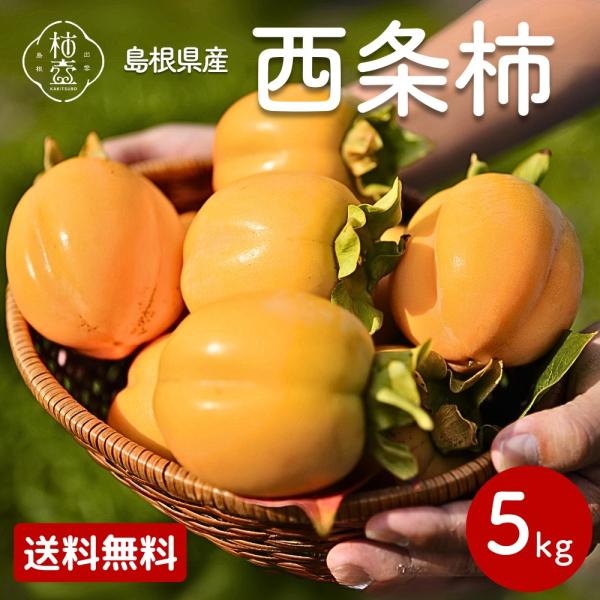 西条柿 柿 5kg 農家 直送 平田 果物 渋柿 渋抜き済 高級 予約 合わせ柿 島根 ギフト お徳用 送料無料 家庭用 通販 名産 贈答 出雲 ひらた 完熟 食べごろ 柿壺 日本で一番西条柿を作っています（2L〜4L）果物・柿をご自宅に、...