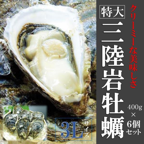 【岩牡蠣3Lサイズ】岩手三陸沿岸で水揚げされた岩牡蠣1個400ｇ以上の3Ｌサイズの岩牡蠣をお送り致します！夏の美味しさ海の味わいです！レモンをギュッと絞って生食でお召し上がり下さい！【生食用です！】24時間以上紫外線殺菌海水にて浄化した【生...