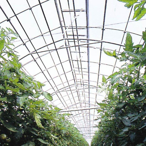 【発売日：2024年08月19日】■納期・通常、ご注文より1〜2週間以内に発送いたします。※現在中東情勢の影響により1〜2か月程かかる場合がございます。※混雑状況により前後いたします。■製品特徴ハウスに必要な性能を、高次元で、長期にわたり発...