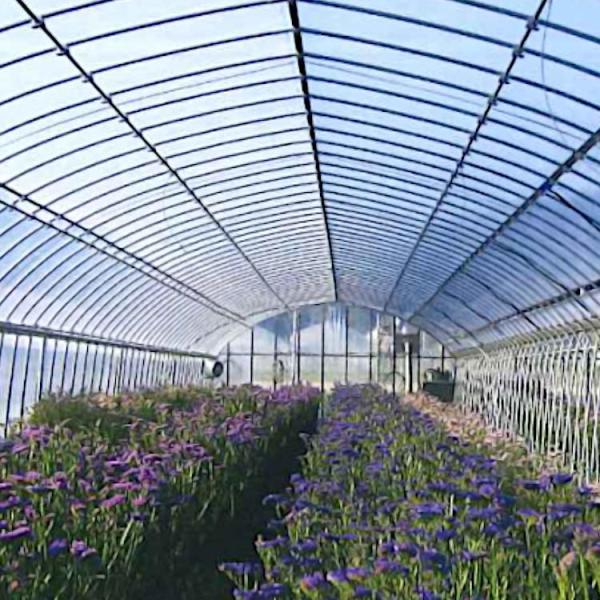 【発売日：2024年08月19日】■納期目安通常5〜10日前後で発送となります。※繁忙期は規格により前後する可能性がございます。■製品特徴4〜5年の長期使用が可能で省力・省資源に貢献します。カラッとしたハウス内環境を作る軟質超耐久農POフィ...