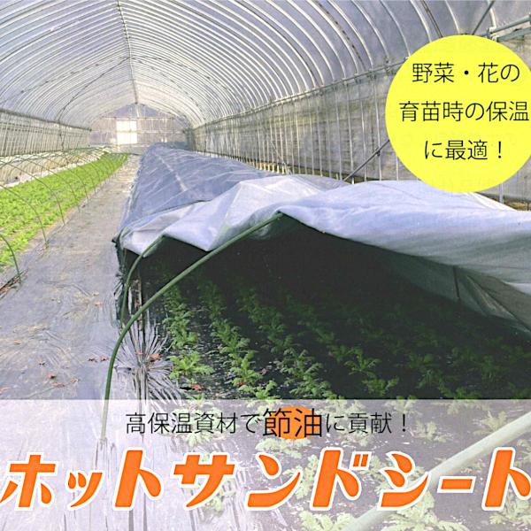 ■製品説明高保温資材で節油に貢献！発泡シートをPOフィルムで挟んだ保温強化資材です。低温時保温によって生育が良くなります。■メーカー東罐興産株式会社（トーカン）■製品仕様0.05mm：シルバーポリトウ1.0mm：発泡シート0.05mm：透明PO