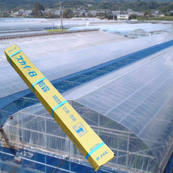 【発売日：2024年08月19日】従来の農ビとは異なりフィルム自体の性能で霧・モヤの発生を抑え、ハウス内の栽培環境を効果的にコントロールする画期的な農ビです。　 【特徴】・光合成が活発で生育促進効果があります。・除湿効果があるため作物の濡れ...