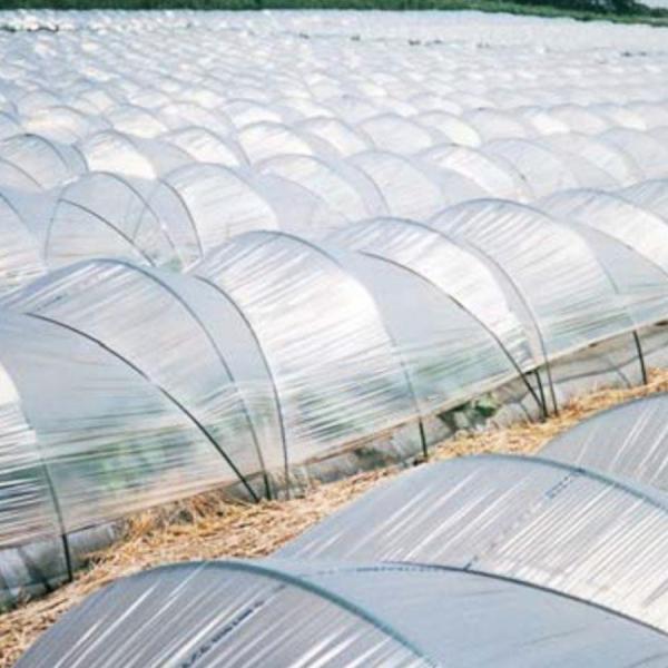 【発売日：2024年08月19日】■注意事項・受注生産品のため、ご注文後、生産となる場合がございます。※生産の場合、通常1か月程度かかります。在庫状況についてはお問い合わせからご質問ください。・沖縄県・離島地域には配送できません。・日時指定...