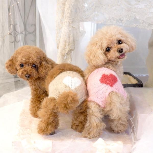 けいとが実際に毎日履いている、お腹と腰まわりをそっと守るニットパンツです。やわらかく、軽く、伸びのよい編み立てに仕上げました。締めつけ感がなく、リラックスタイムやおやすみ時間にも安心してお使いいただけます。動いてもずれにくく、履いていること...